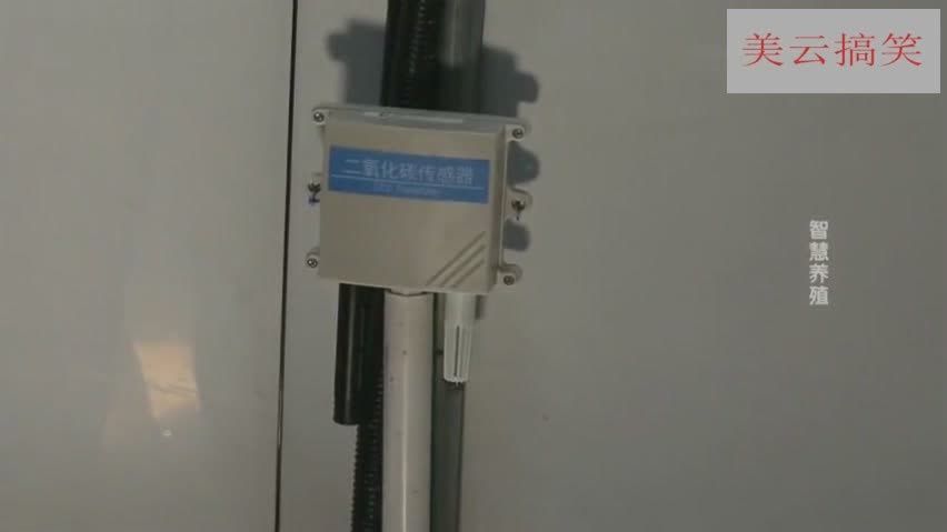 牛人发明农业传感器,帮助农民种蘑菇无需人工管理,还可提升产量