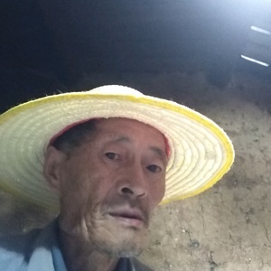 立清自媒体