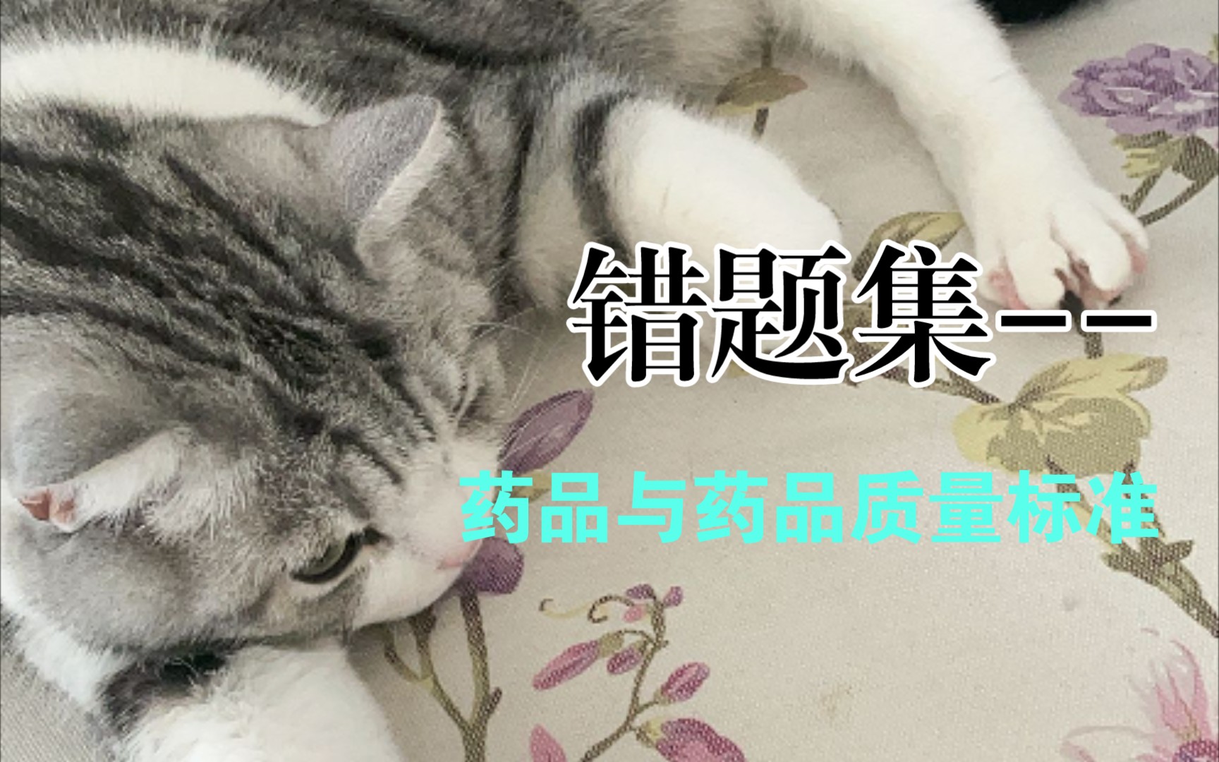 错题集--药品与药品质量标准