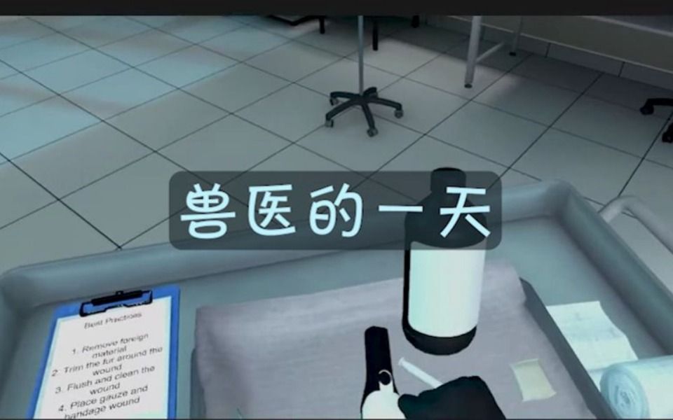 兽医的一天