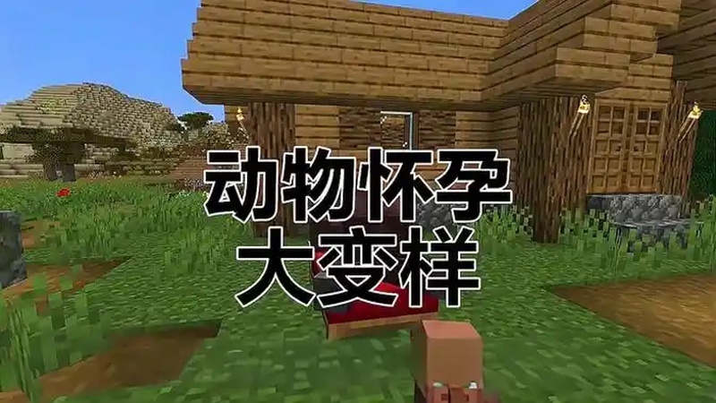 我的世界动物也能怀孕,村民还能生双胞胎!