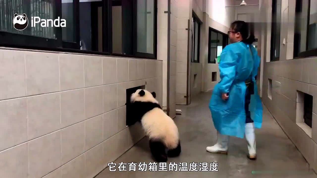 教你一招,只要有手机连接上无线网,不需要密码也能登录wifi哦