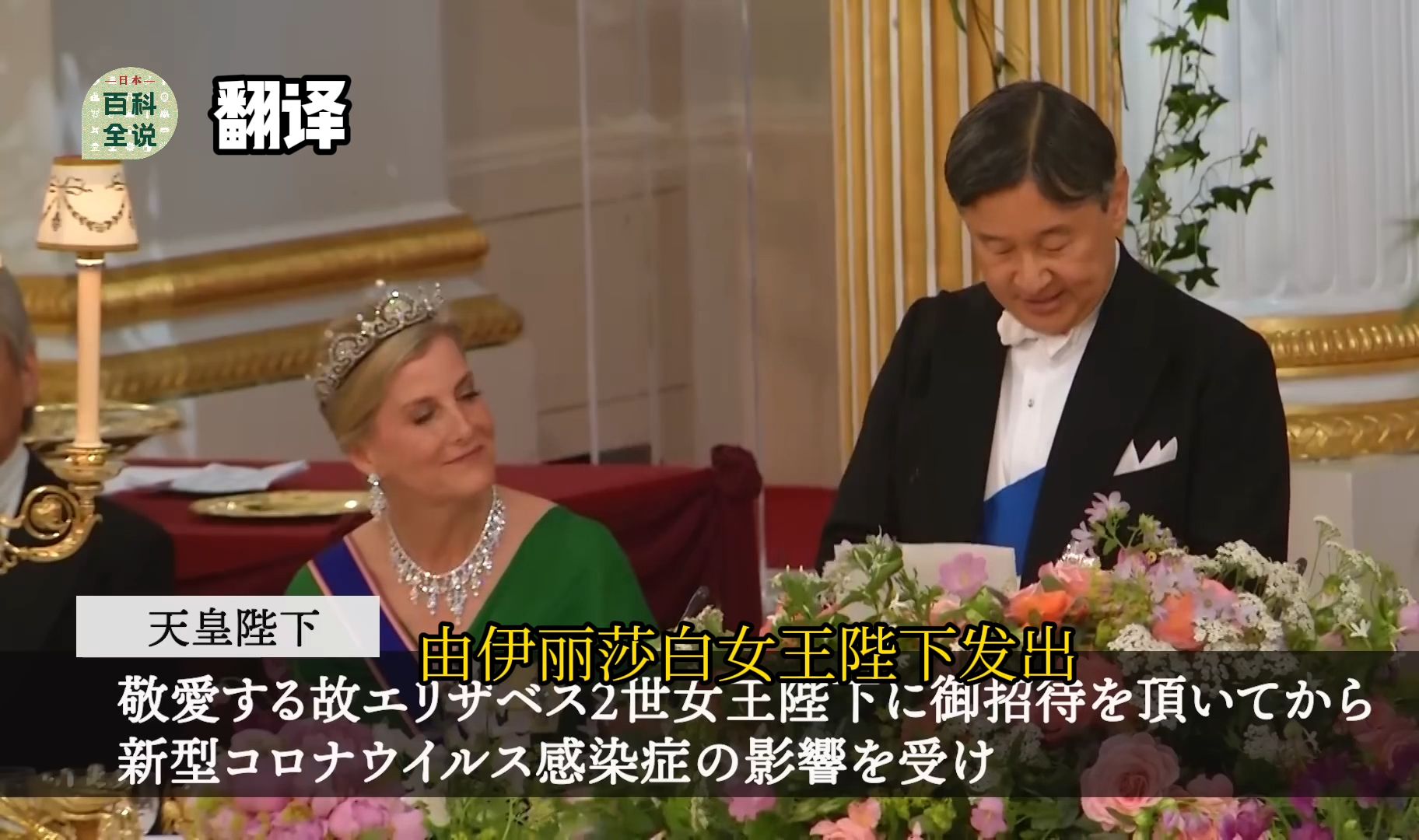 【中字熟肉】日本德仁天皇访英国宴发言完整版