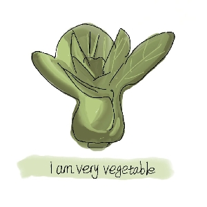 Im_veryvegetable 