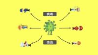 2020年新冠疫情 病毒介绍