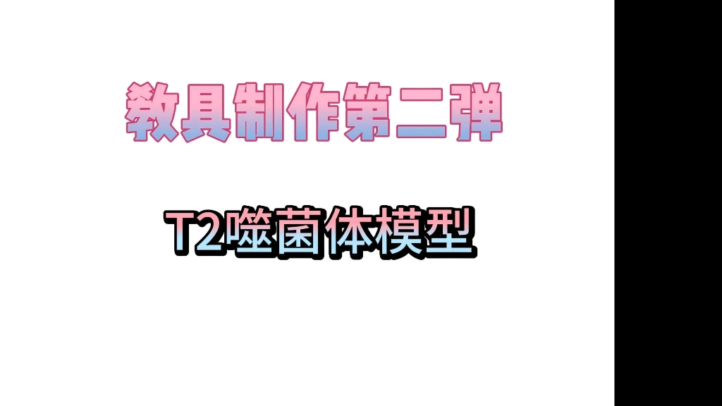 师范生小学期︱教具制作(二)T2噬菌体模型