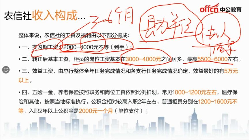 甘肃农信社薪资待遇