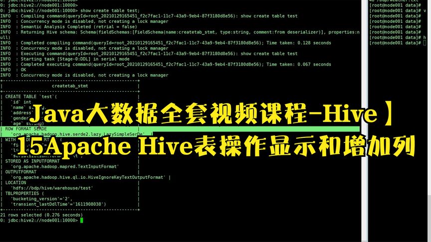 Java大数据全套视频课程-Hive】15Apache Hive表操作显示和增加列