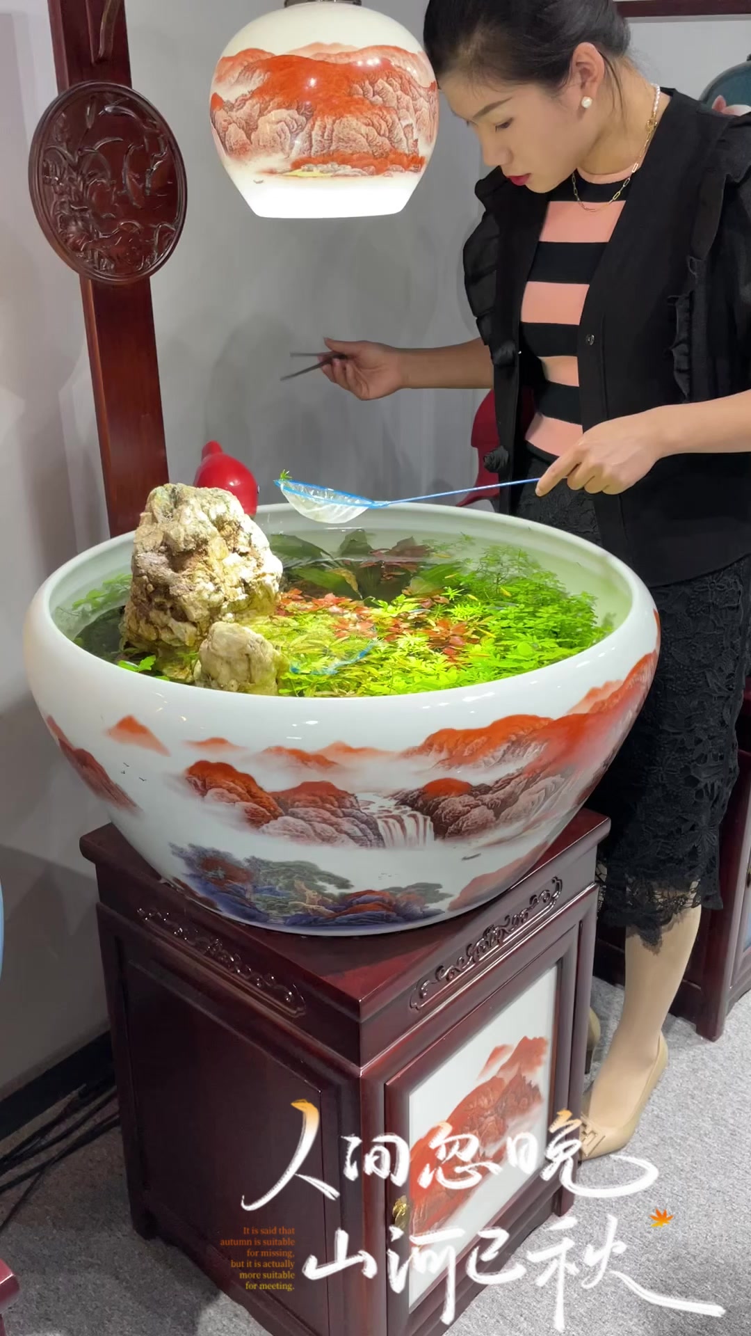 ...素陶鱼缸初次使用需耐心养水,栽种水蕴草等易活水草,引入硝化菌群。...