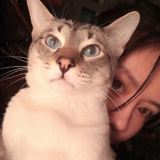 百口莫辩__ 