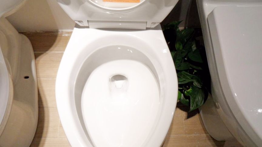 马桶堵了怎么办?教你一招快速通马桶 再不用花冤枉钱了!