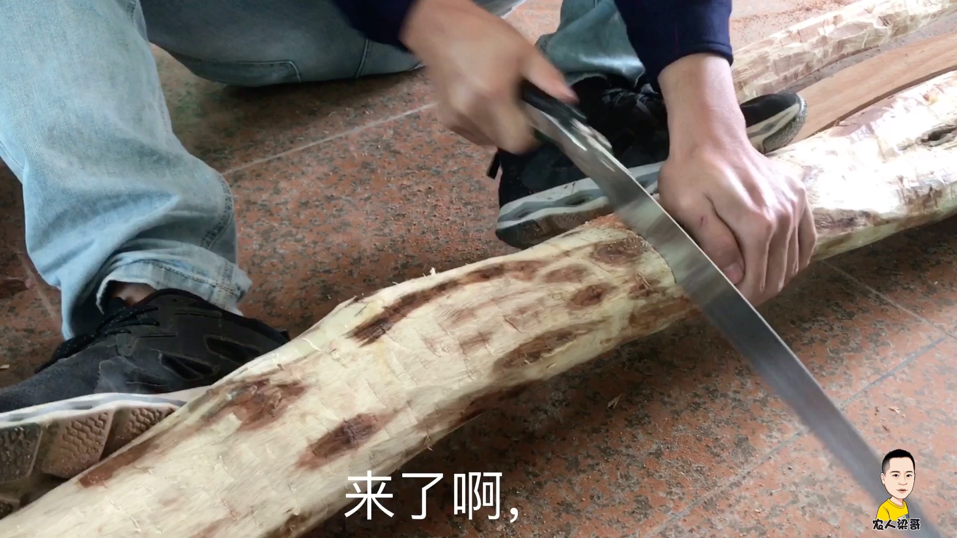 花6000买了一根黄花梨木,从中间切开后梁哥却傻眼了,亏了吗?