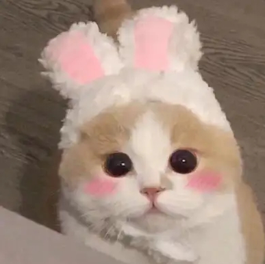 卡点影视解说 