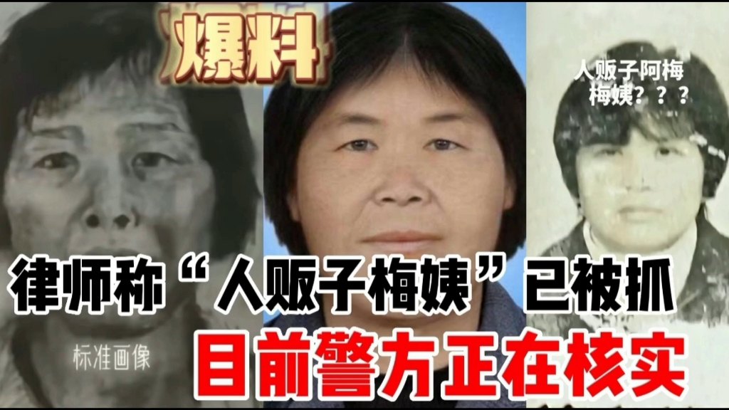 大爆料:律师称“人贩子梅姨”已被抓,目前广州警方正在核实