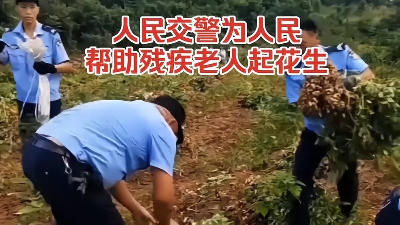 人民交警为人民!帮助残疾老人起花生