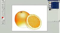 PhotoShop CS2视频教程041