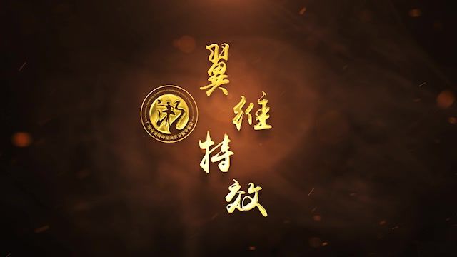 常务副会长单位:【翼维特效】