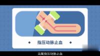 突发事故受伤出血,教您几招现场急救快速止血方法!(二)