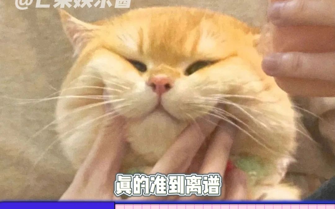 一个能够快速分辨T人和F人的问题
