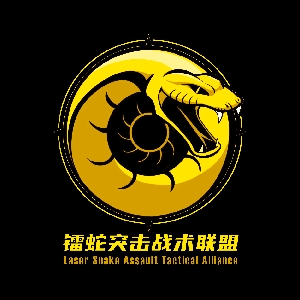 镭蛇突击战术 