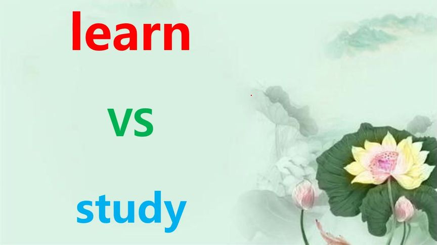 英语单词辨析:learn和study都表示学习,到底哪个才是“学会”?