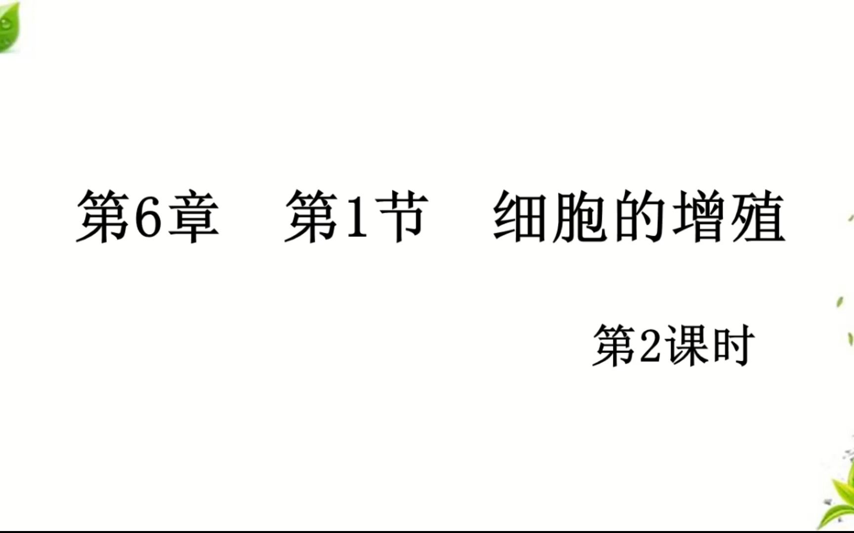 高中生物新人教版2019必修一第六章第1节《细胞的增殖》第2课时