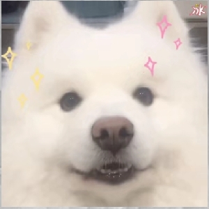 业业好梦 
