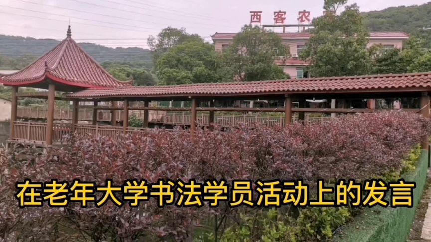 弘扬中华传统文化
