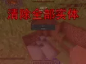 我的世界：最后一个掠夺者找不到了，使用代码直接消灭702个实体