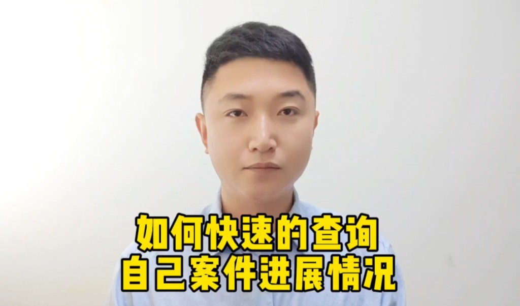 如何快速查询自己案件的进展
