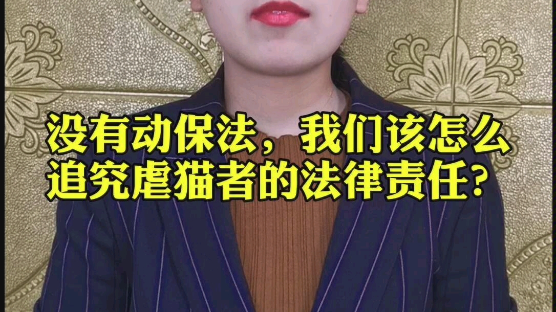 没有动物保护法,我们该怎么追究虐宠物人的法律责任?