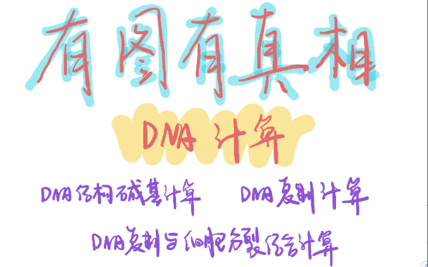 【高中生物】DNA结构计算:有图有真相