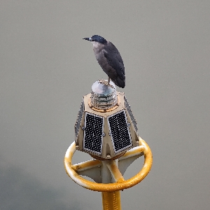 迈克尔在云端 