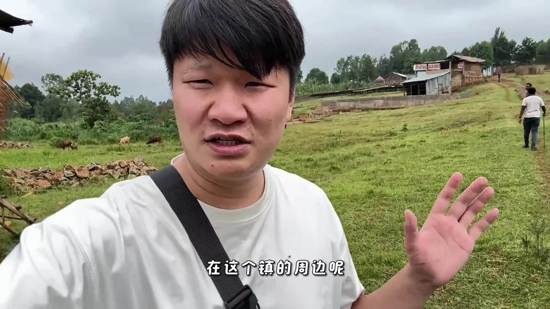 埃塞俄比亚耶加雪啡镇深度探访咖啡水洗厂 国外旅行