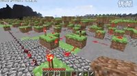 Minecraft Alpha 16位程序计数器,16bit存储器,和一只死猪