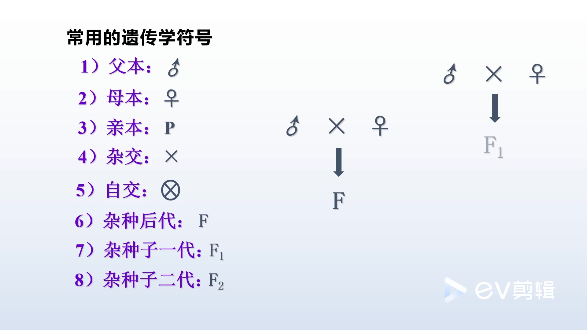 【微课】孟德尔的豌豆杂交实验