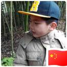 落雁花前_悠悠茶2008 