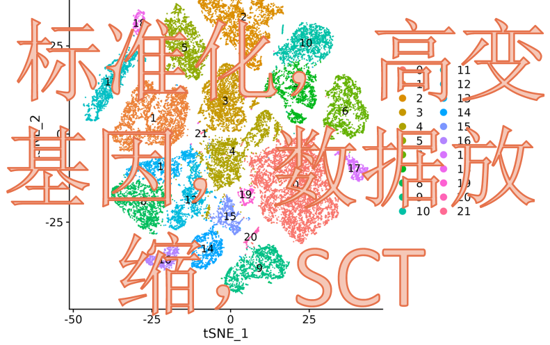 7. 保姆式教学标准化,高变基因,数据放缩,SCT,单细胞数据分析