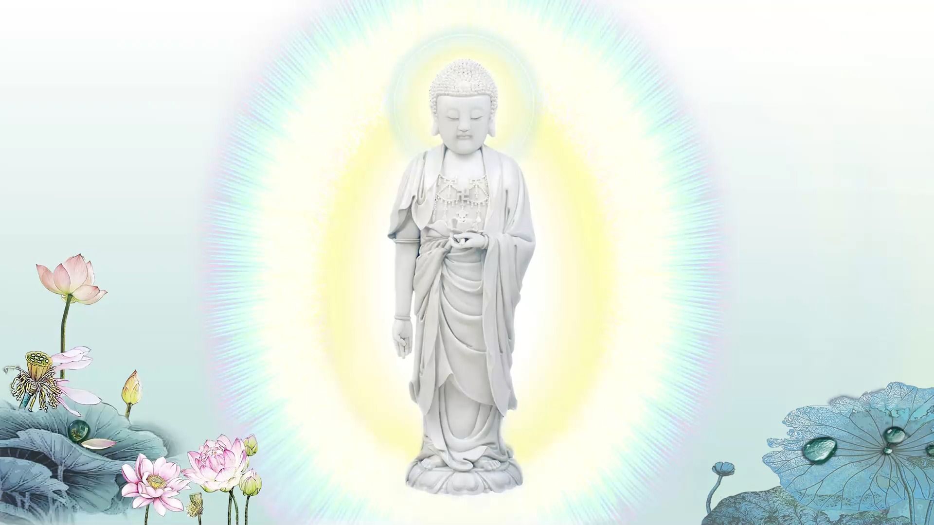 无量寿经全文诵读
