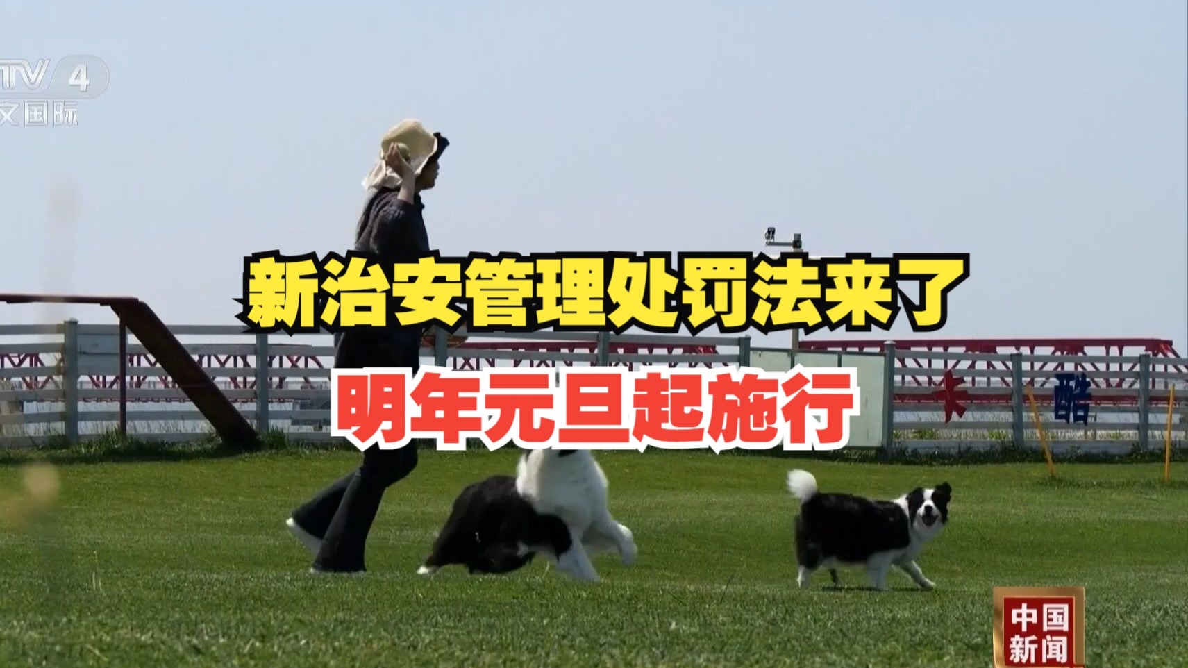 事关你我!聚焦正当防卫、烈性犬伤人等社会关切 新治安管理处罚法来了!