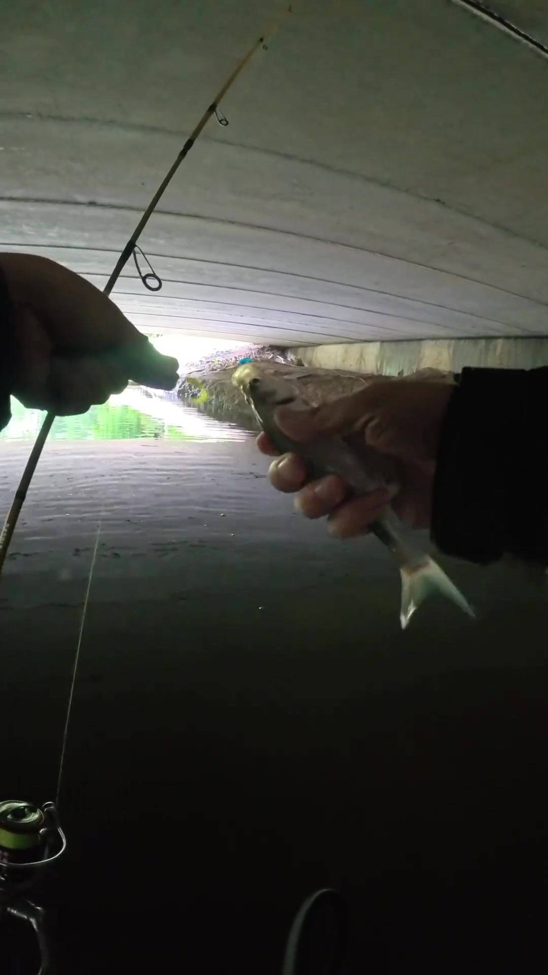 粉丝硬给的标点必须去盘一盘