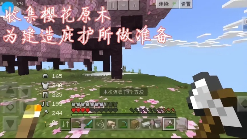 我的世界单人生存第十六季4收集樱花原木为建造庇护所做准备