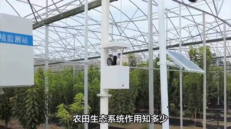 农田生态系统的作用