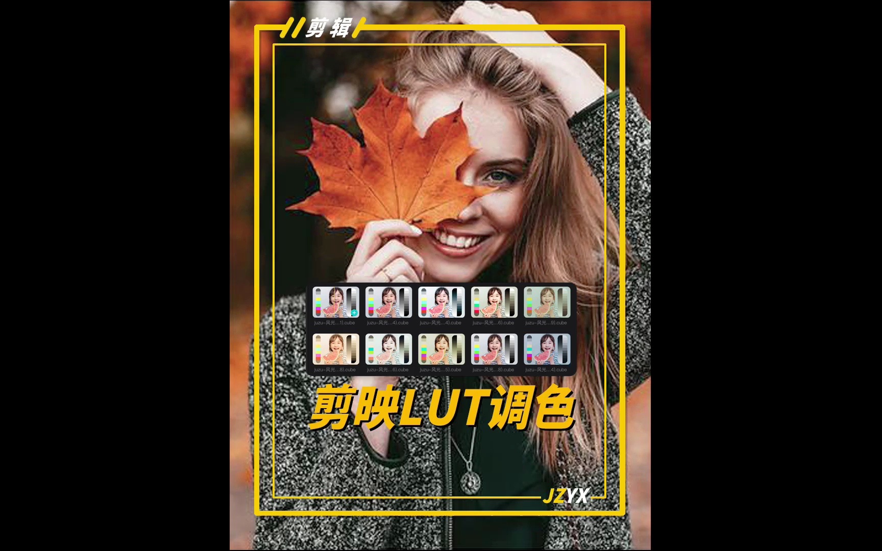 电脑版剪映如何导入并使用LUT进行调色