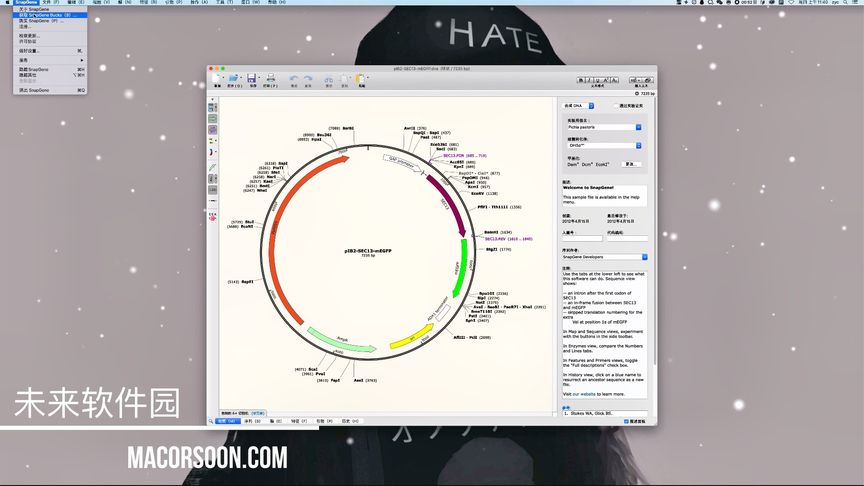 DNA序列分析软件 SnapGene 4 详细注册教程!