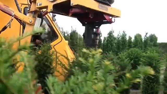 #园林绿化 #三农 #金牌苗木人 #机械设备 #抖音助农 #农业种植