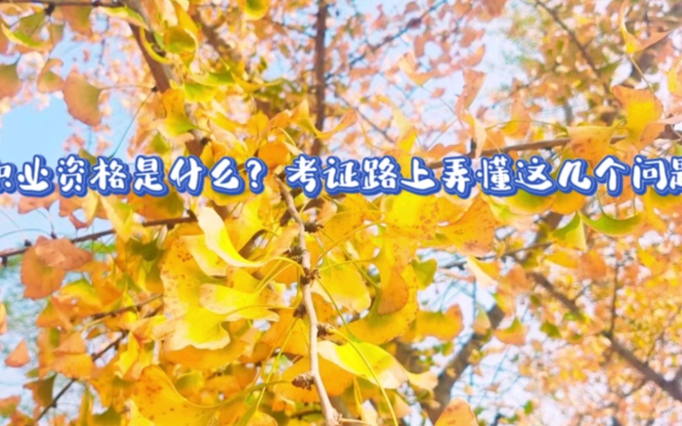 职业资格是什么?考证路上弄懂这几个问题