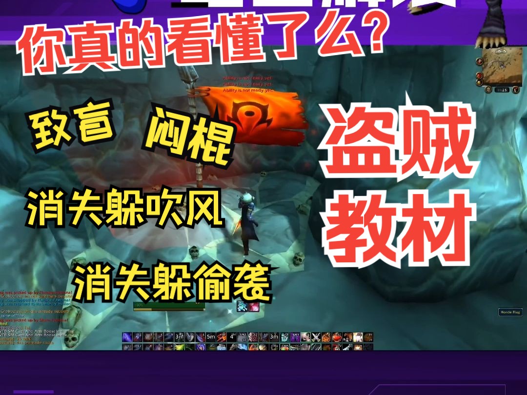 这个操作 你学不会 战歌 抗旗 盗贼_哔哩哔哩bilibili_魔兽世界怀旧服