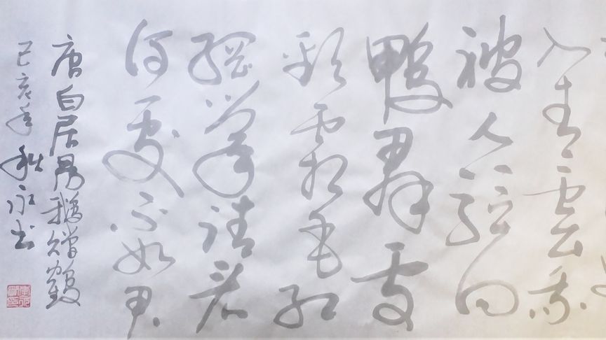 一只鹅对命运的灵魂拷问,淡墨书法尝试白居易《鹅赠鹤》