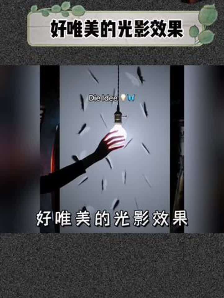 好唯美的光影效果!